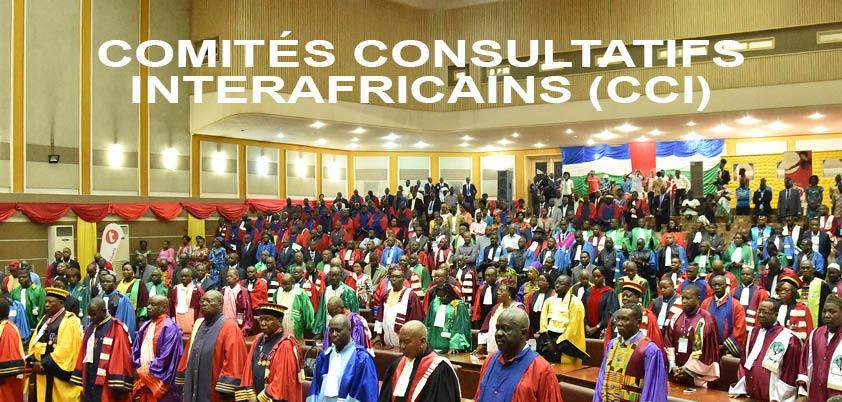 Lancement de la 44e session des CCI - procédure de candidature